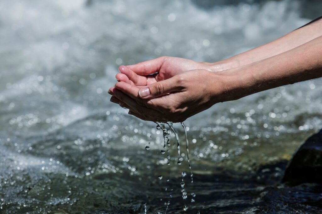 Total Consecration | Passion For Truth